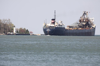 Michigan Exposures: Finally...The Algorail