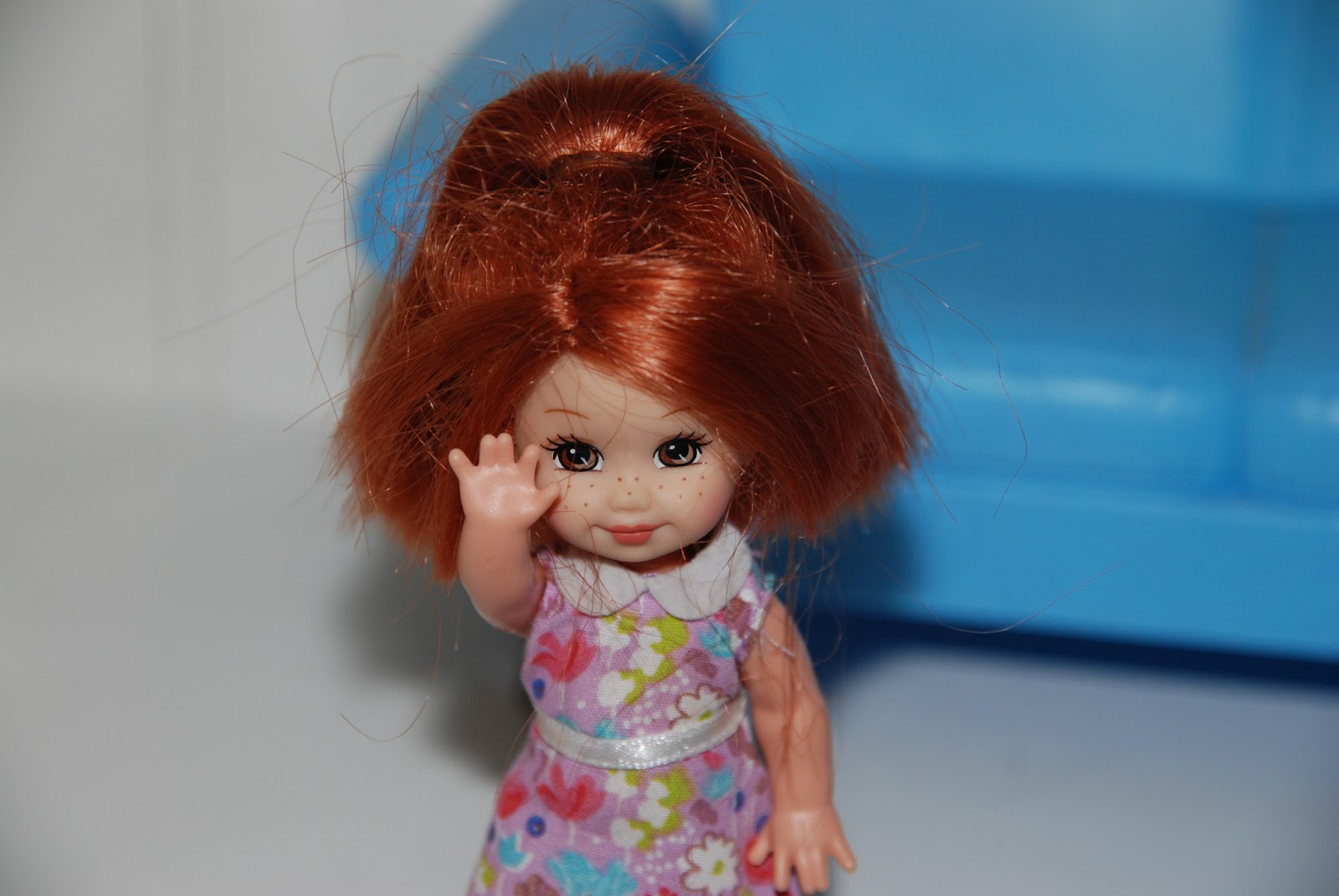 Lindsay's Barbie World