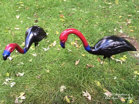 Easy DIY Vultures! - The (mis)Adventures of a Homesteadin' Mama