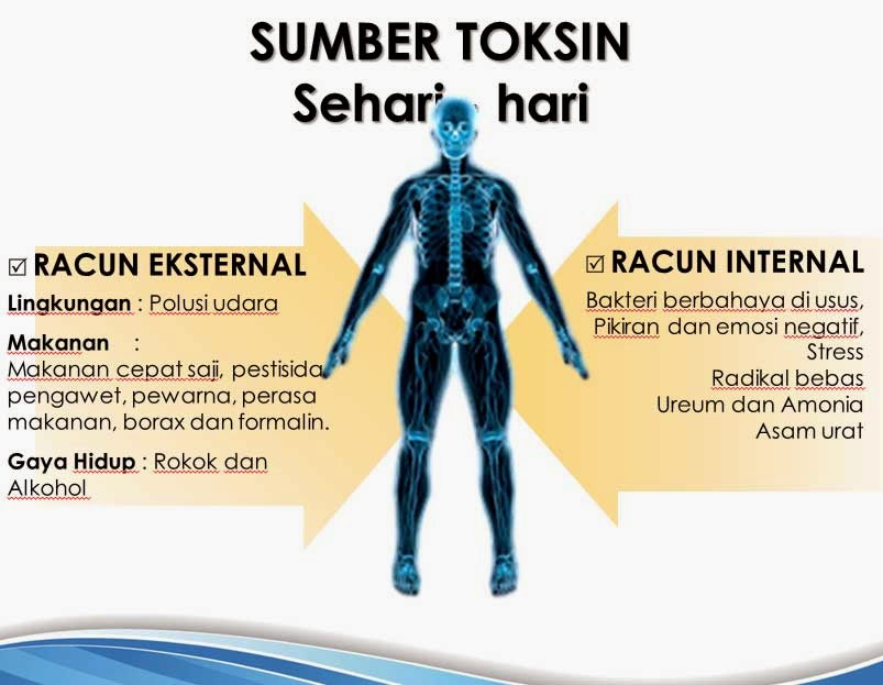 Toksin Dalam Badan - Outlet Hazmi Precious