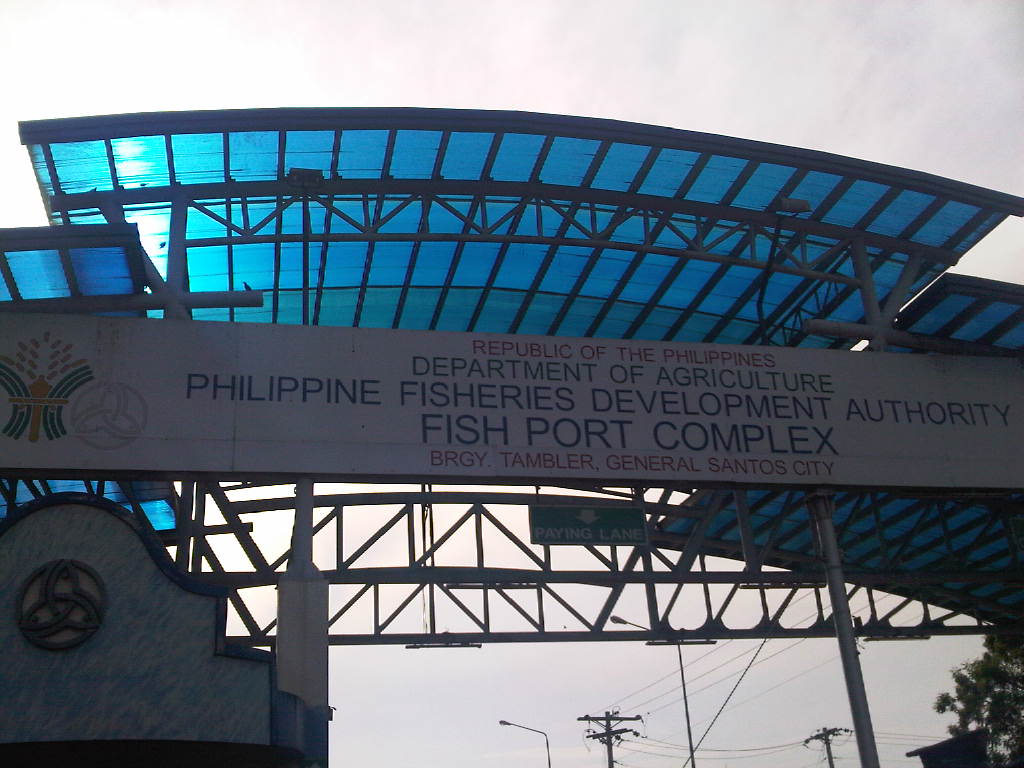 Agilex Tuna Export: General Santos City Tuna Fish Port