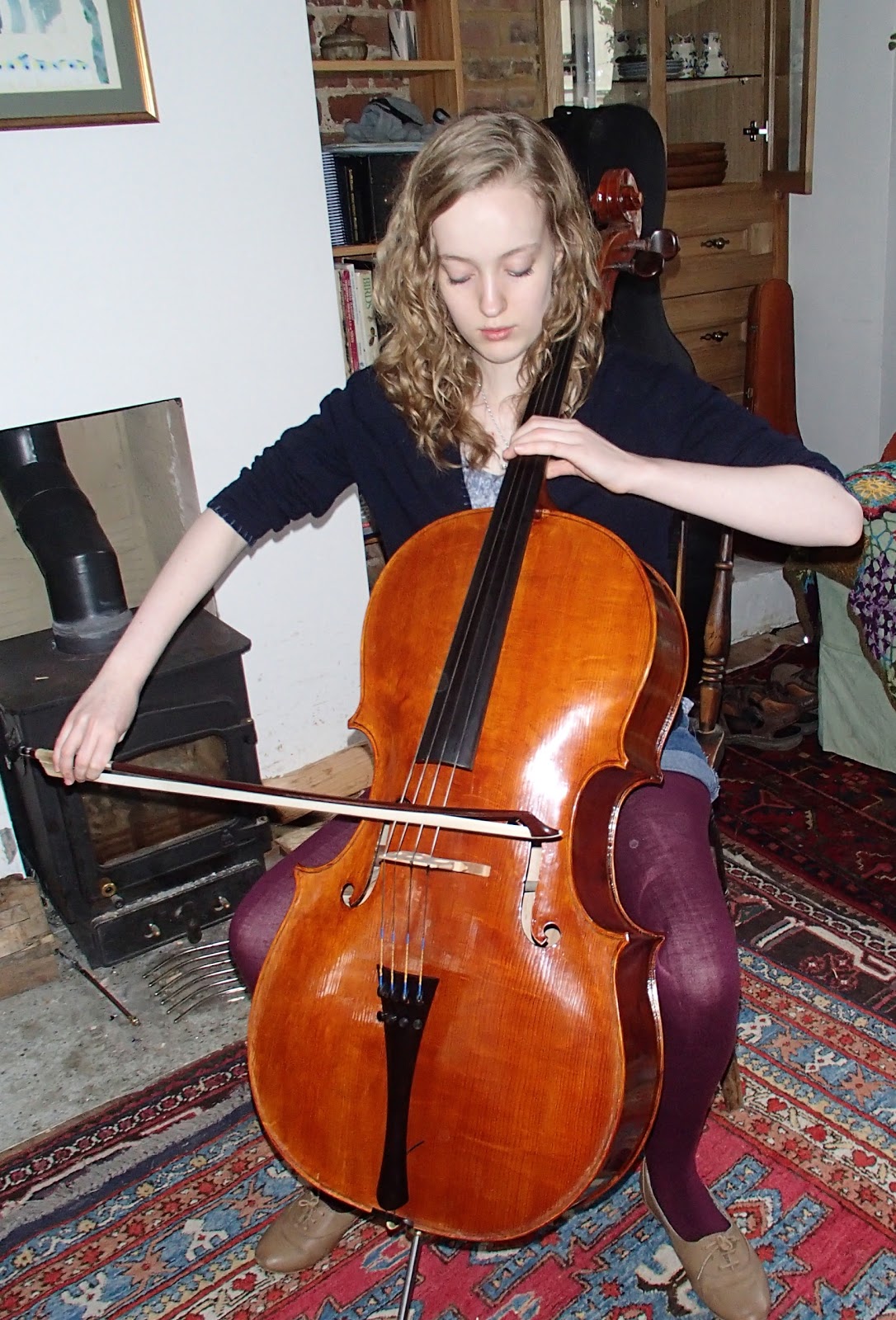 Violin maker's blog: November 2012