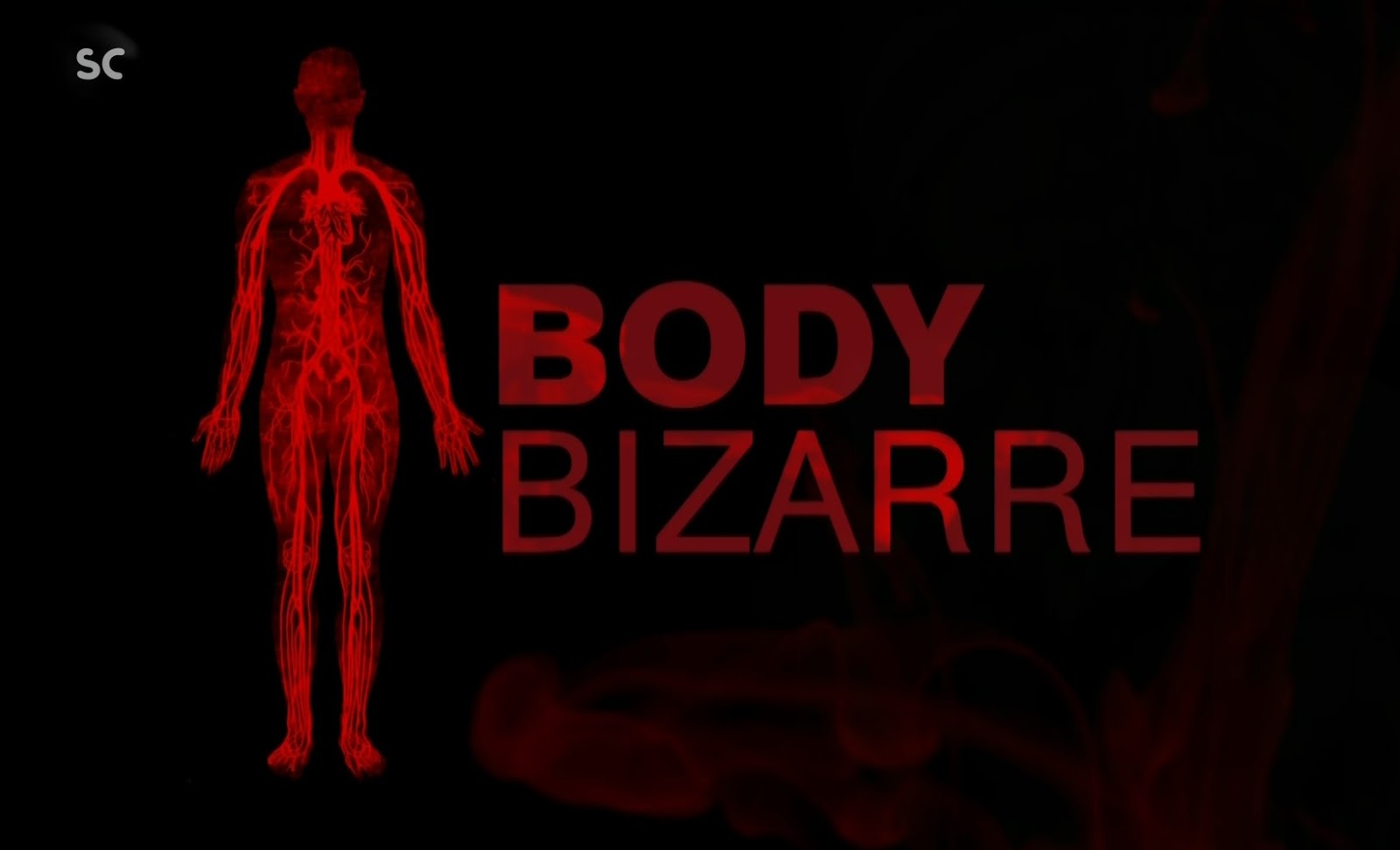 Body bizarre - Episode 5 | Culture-Video Se cultiver grâce a la video