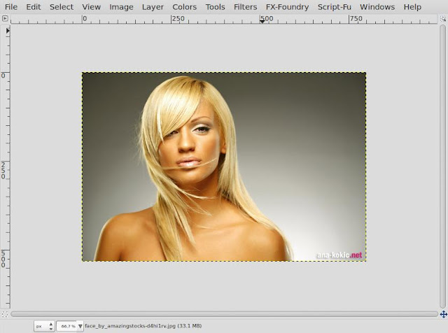 Infusio: Learn Selective Colorization in 4 Steps with Gimp.