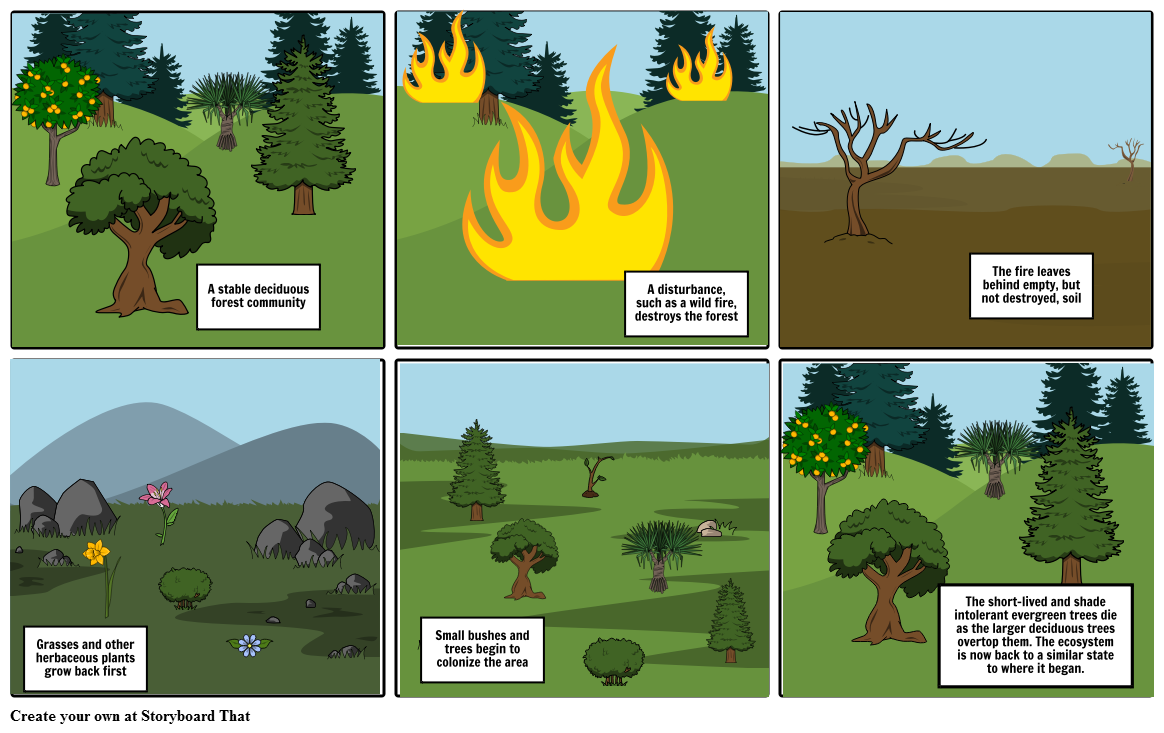 Pennsylvania Forest Fire Protection: Advantages of Fire