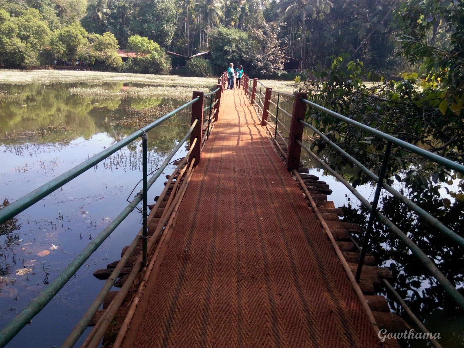 Spice up your senses at Spice Plantation, Goa - Creatikaa