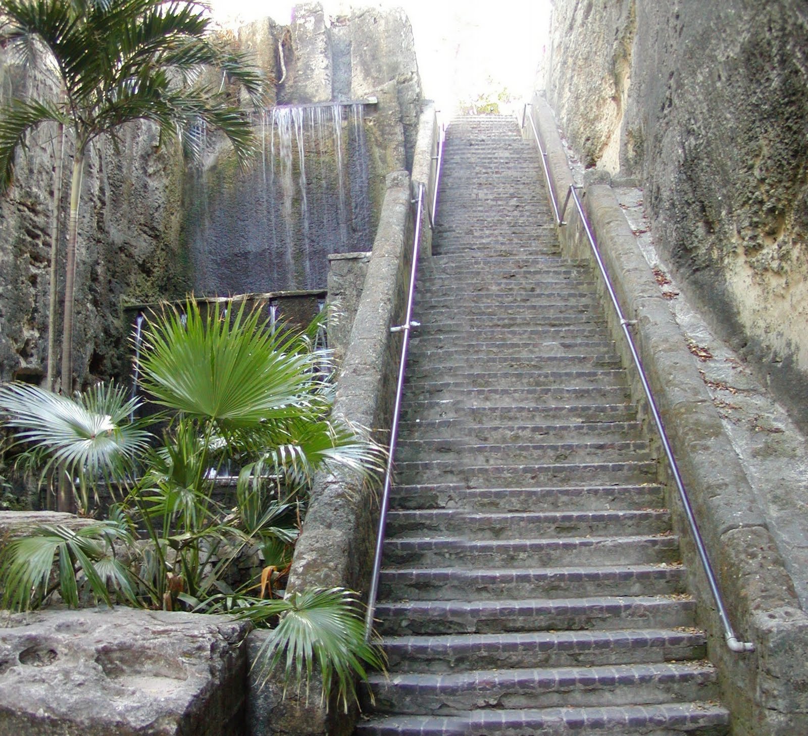 Island Bandit: 66 steps and olympic competition!