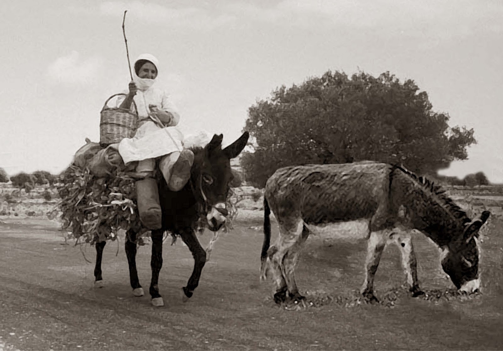 Η εφημερίδα του Βαλτινού: Ιστορίες του χωριού «Η διαιώνιση του είδους»