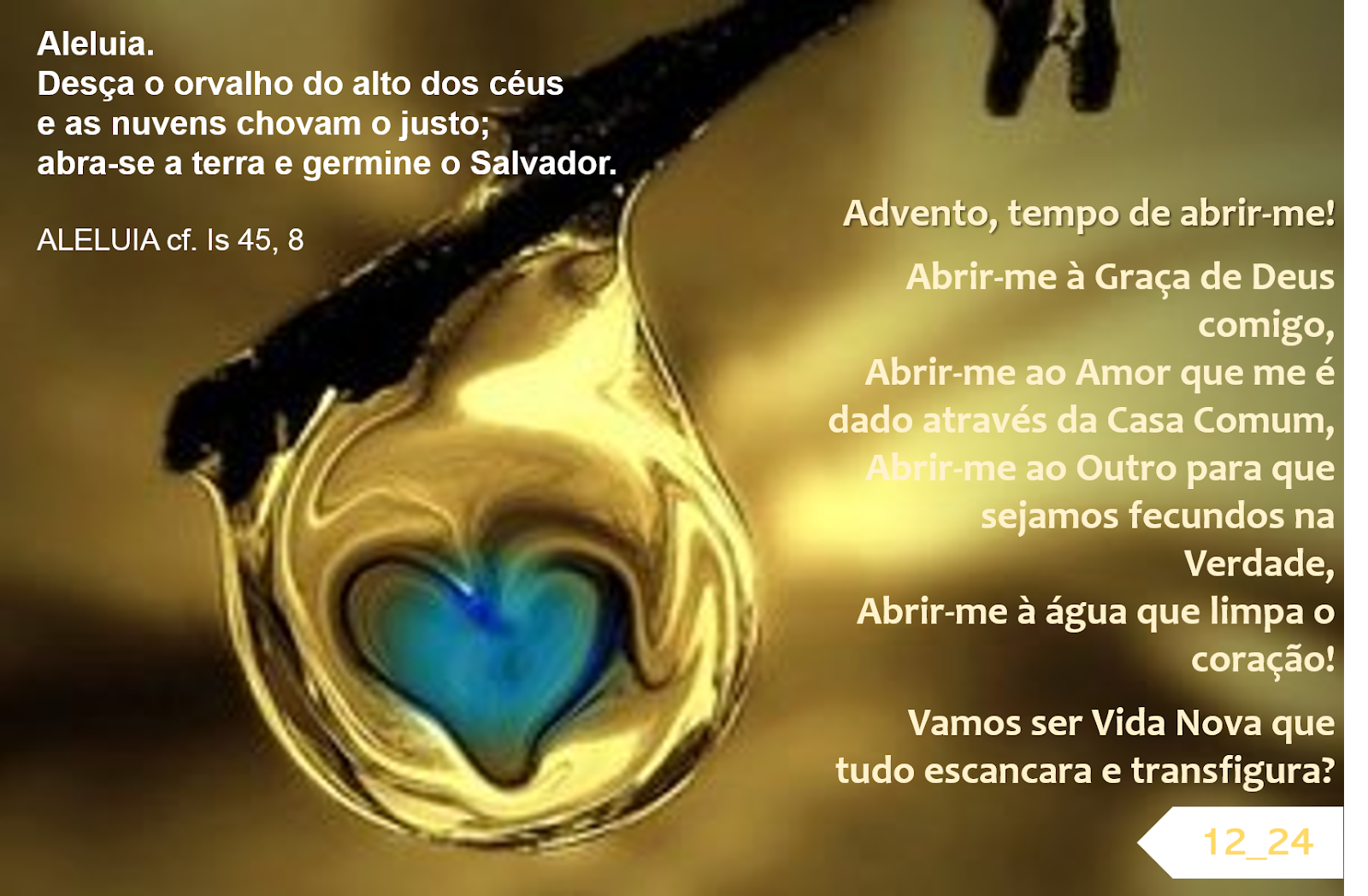 CVX BI Advento 12 24