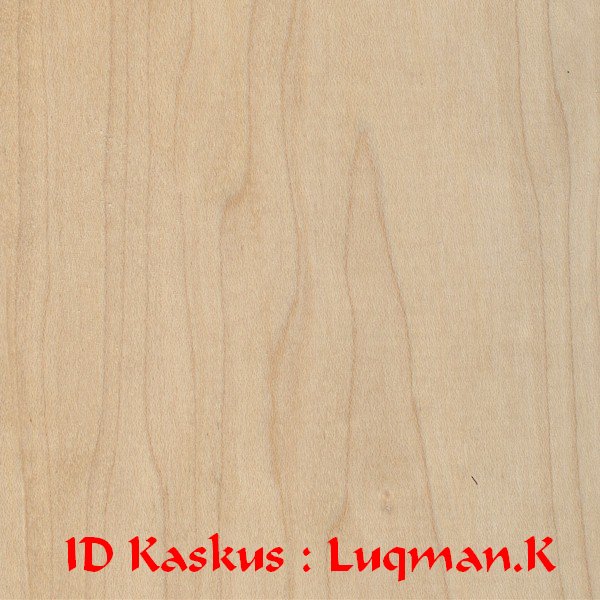 Eksport Import Wood: Jual kayu Hard Maple
