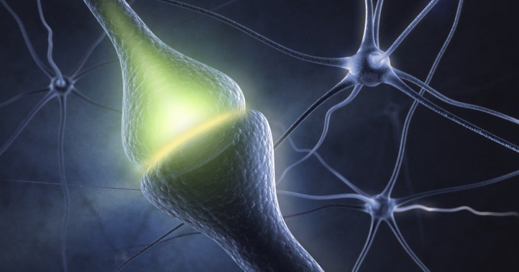 The Types and Causes of Neuropathy
