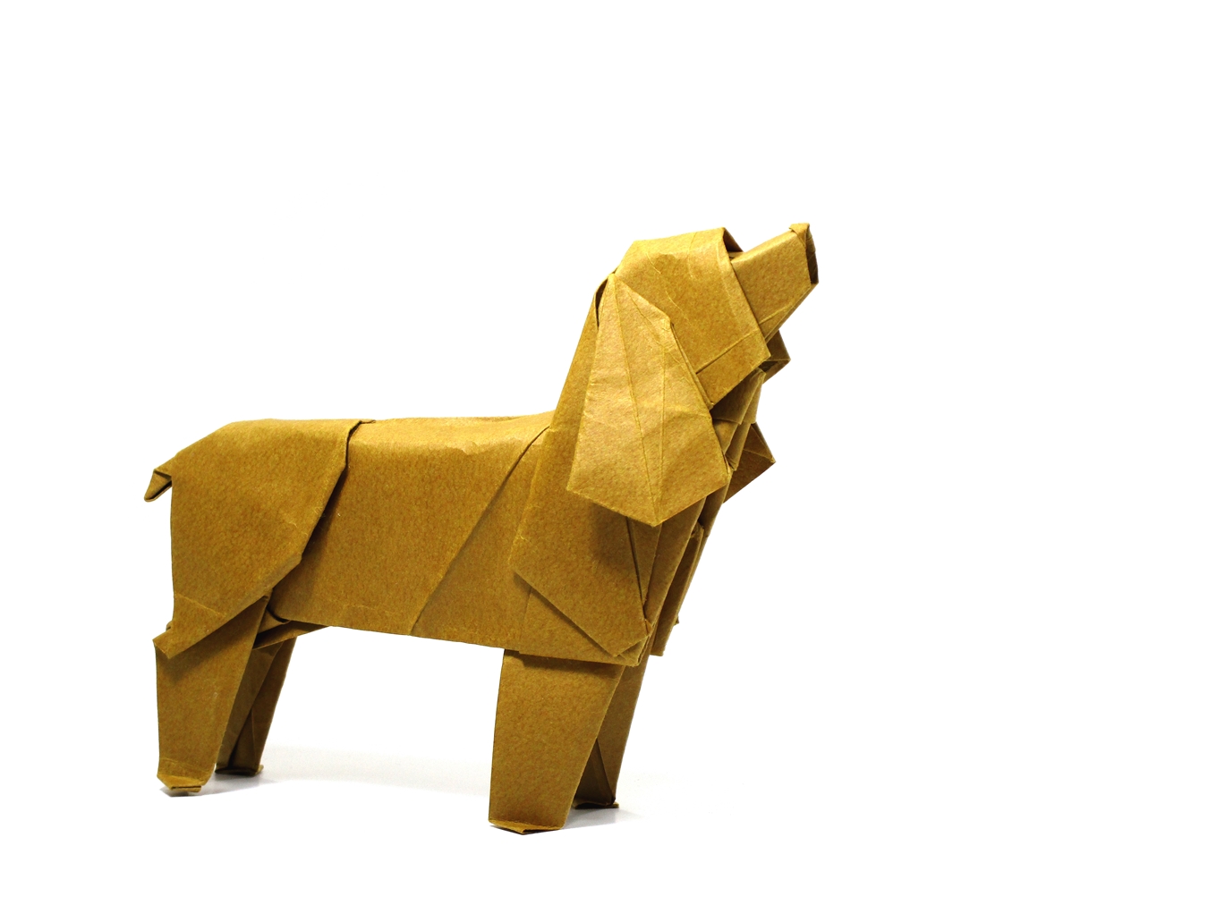 Mariano-Mi mundo el Origami: American Cocker Spaniel