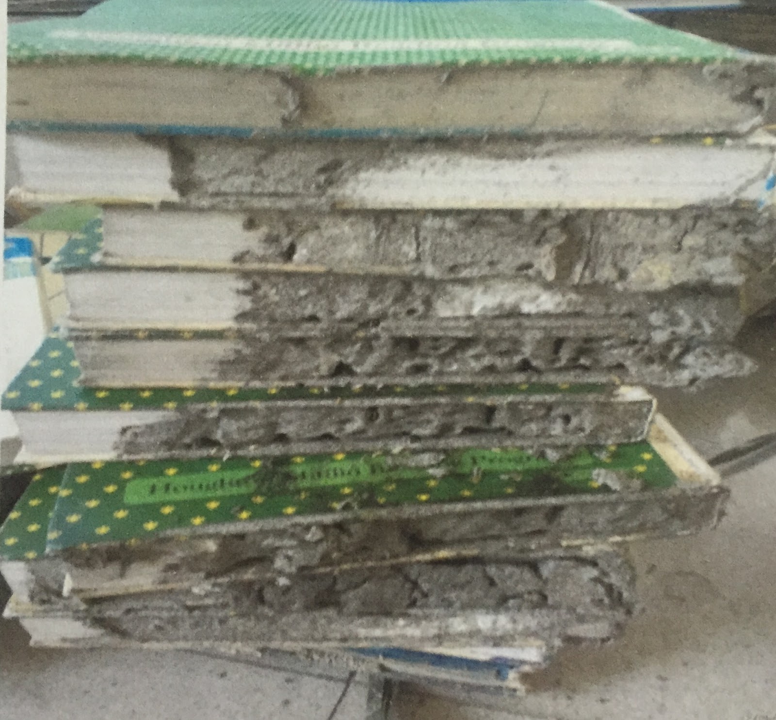 Oral History of Bulacan Public Libraries: Hagonoy Municipal Library