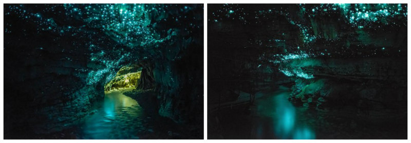 Bless Chaos: Firefly cave in New Zealand