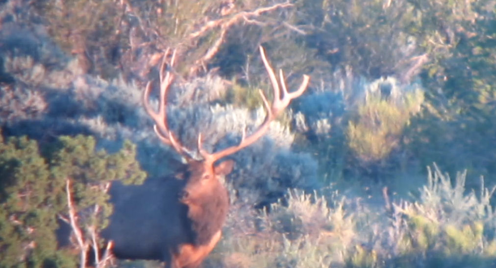 Arizona Elk Hunting Unit 9 Report 9.06.12 - Jay Scott Outdoors/Colburn ...