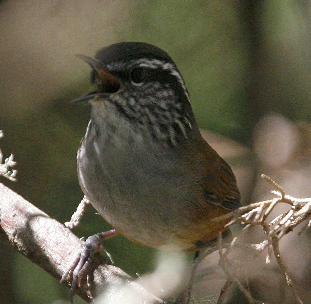 The Bagsy Blog: 07/02/12