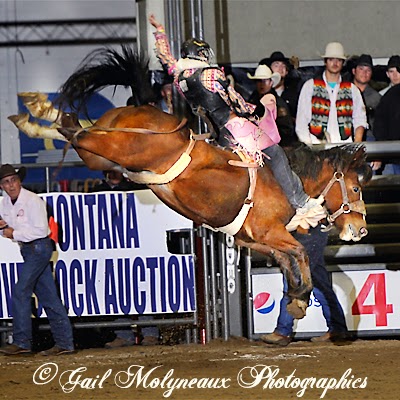 Northern Rodeo Association: Meet Your 2014 NRA Bareback Riding Champion