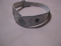 Paper Napkins on the Edge of Insanity: Star Wars Cosplay, part 3