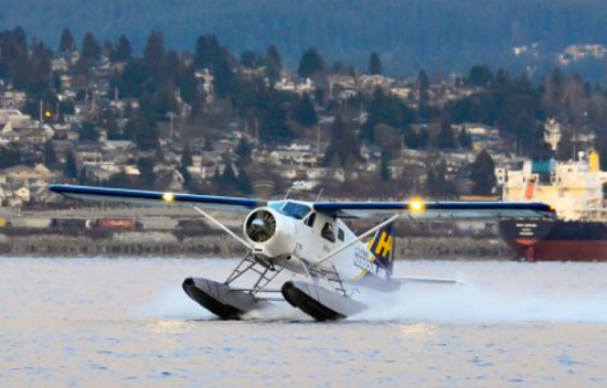 Bayou Renaissance Man: Let's hear it for the electric Beaver!