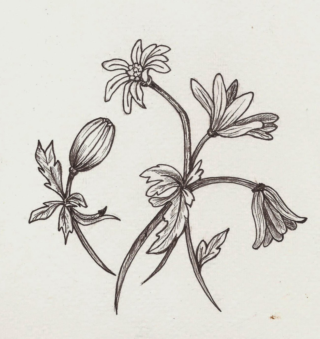 Tandy Louise Designs