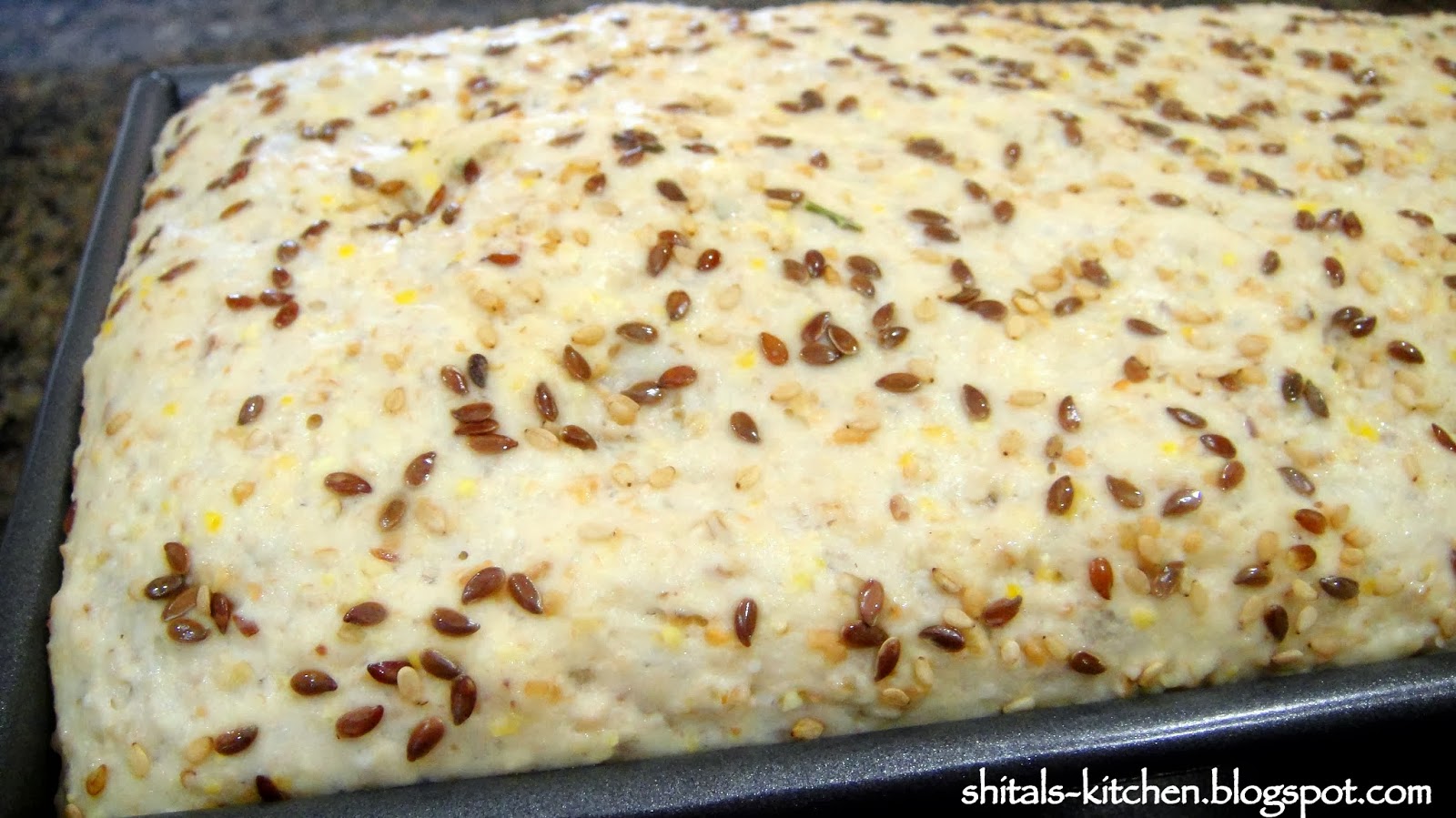 Shital's-Kitchen: 11-Grain Bread