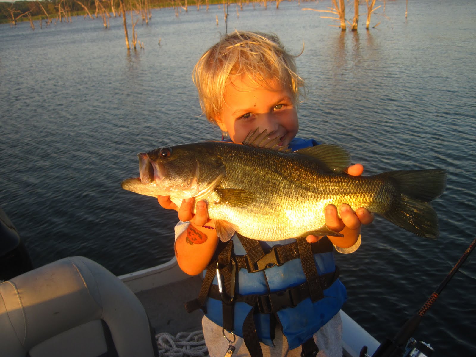The Fishing Blog: 5 bass and 1 catfish