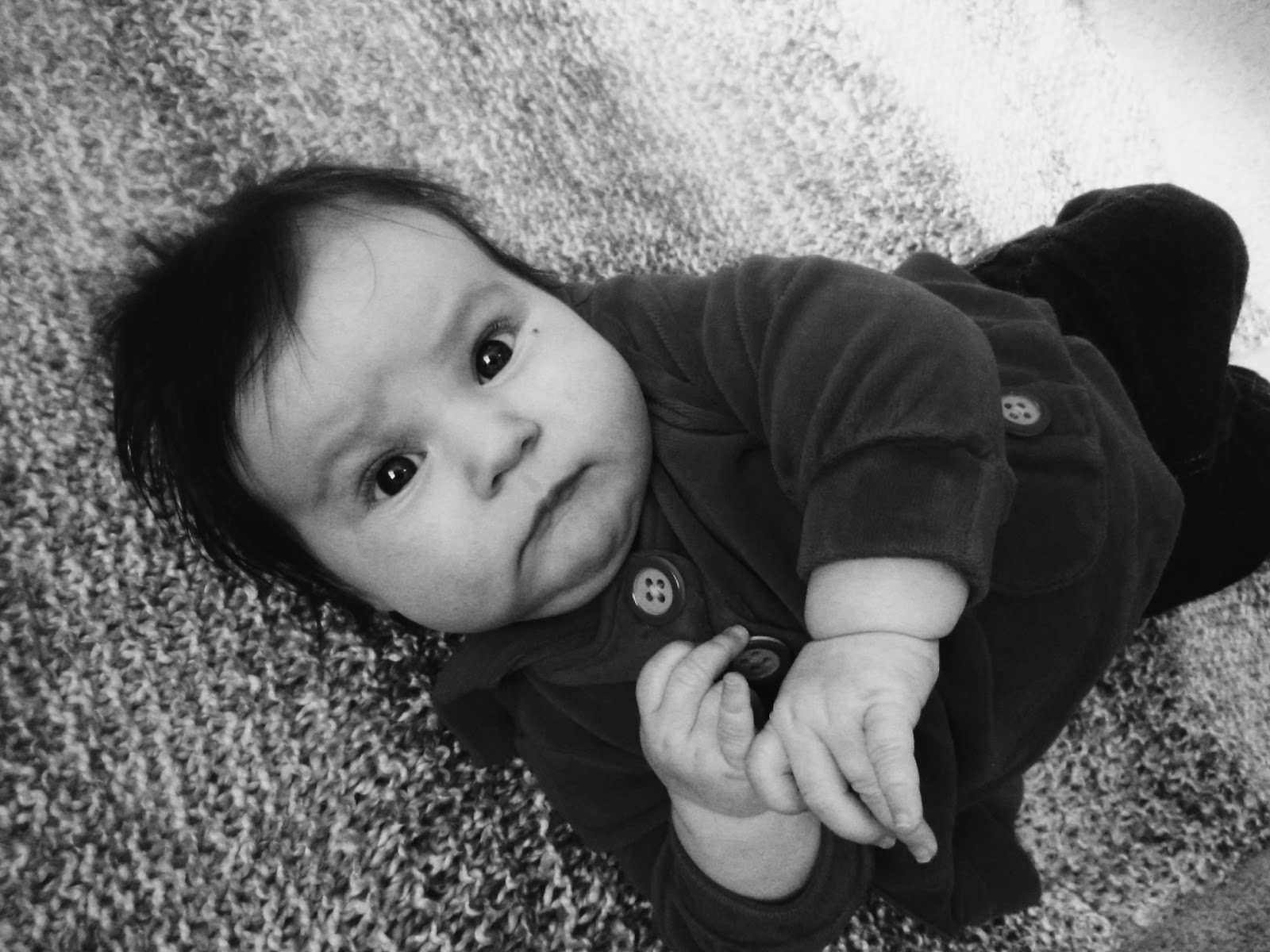 Rachel Jaybird: renniebird... three months (a wee bit late)