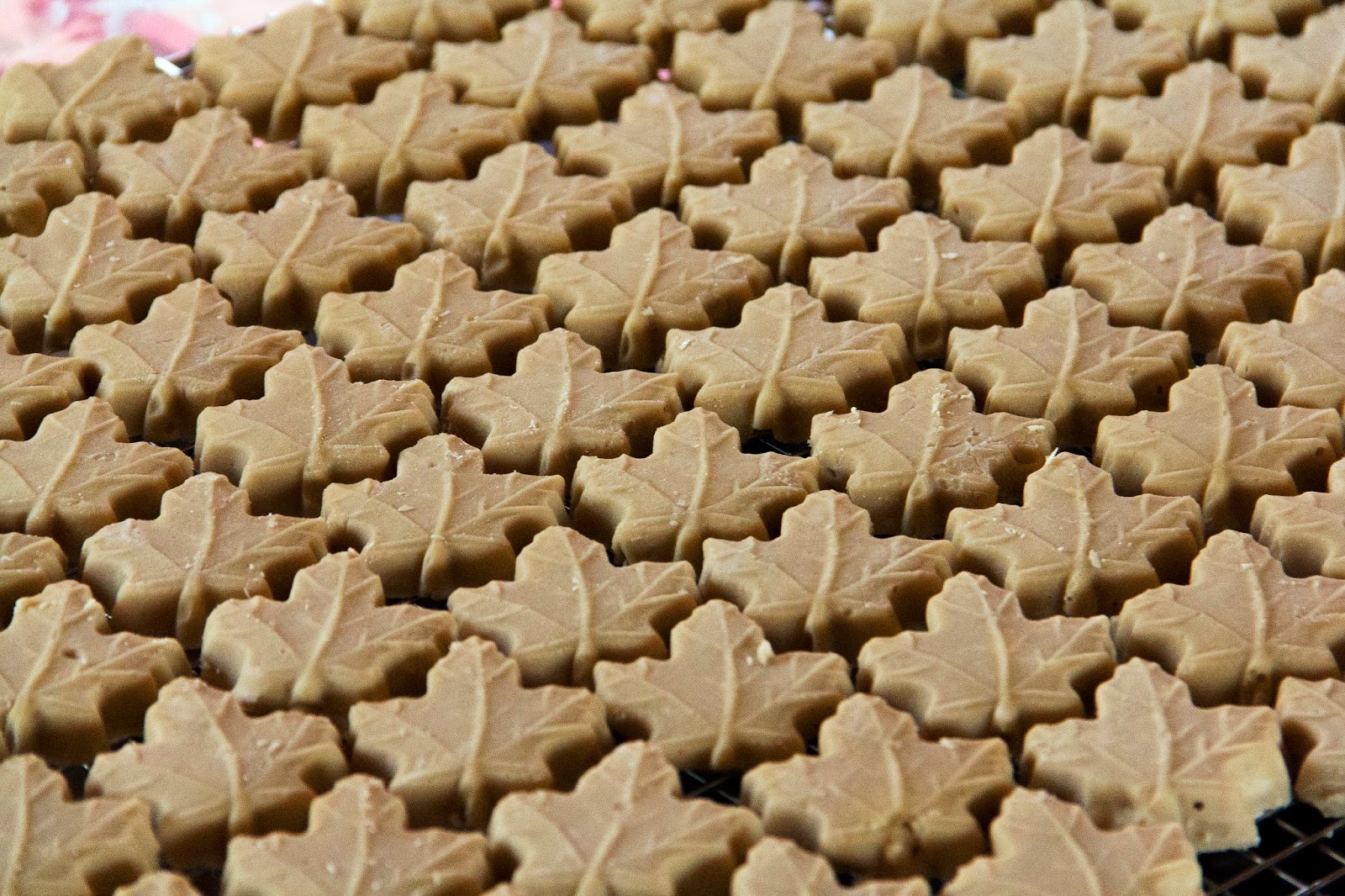 My Delicious Autumn: Sugar Woods