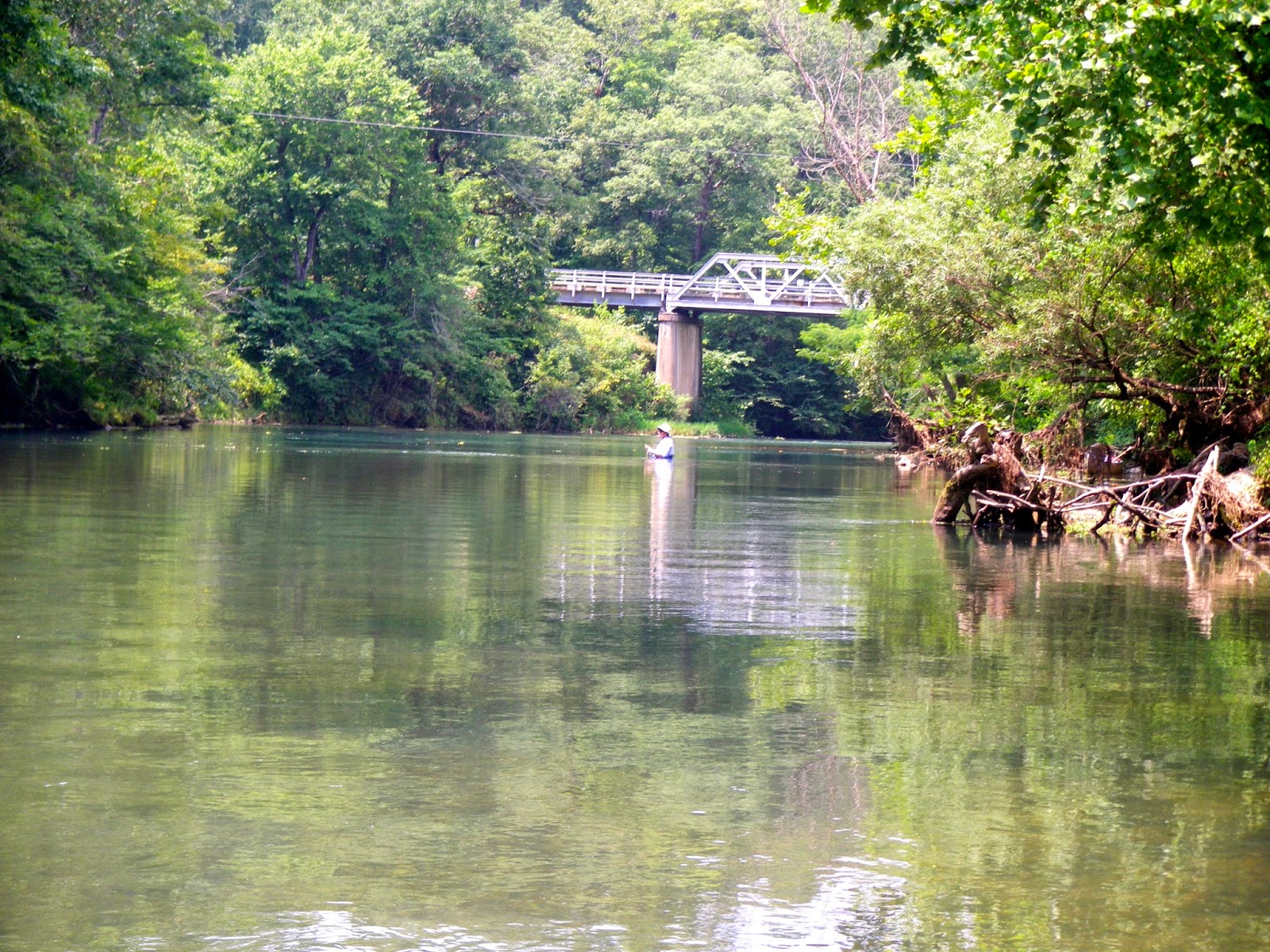 Ozark Fly-Fishing: August: Eleven Point River