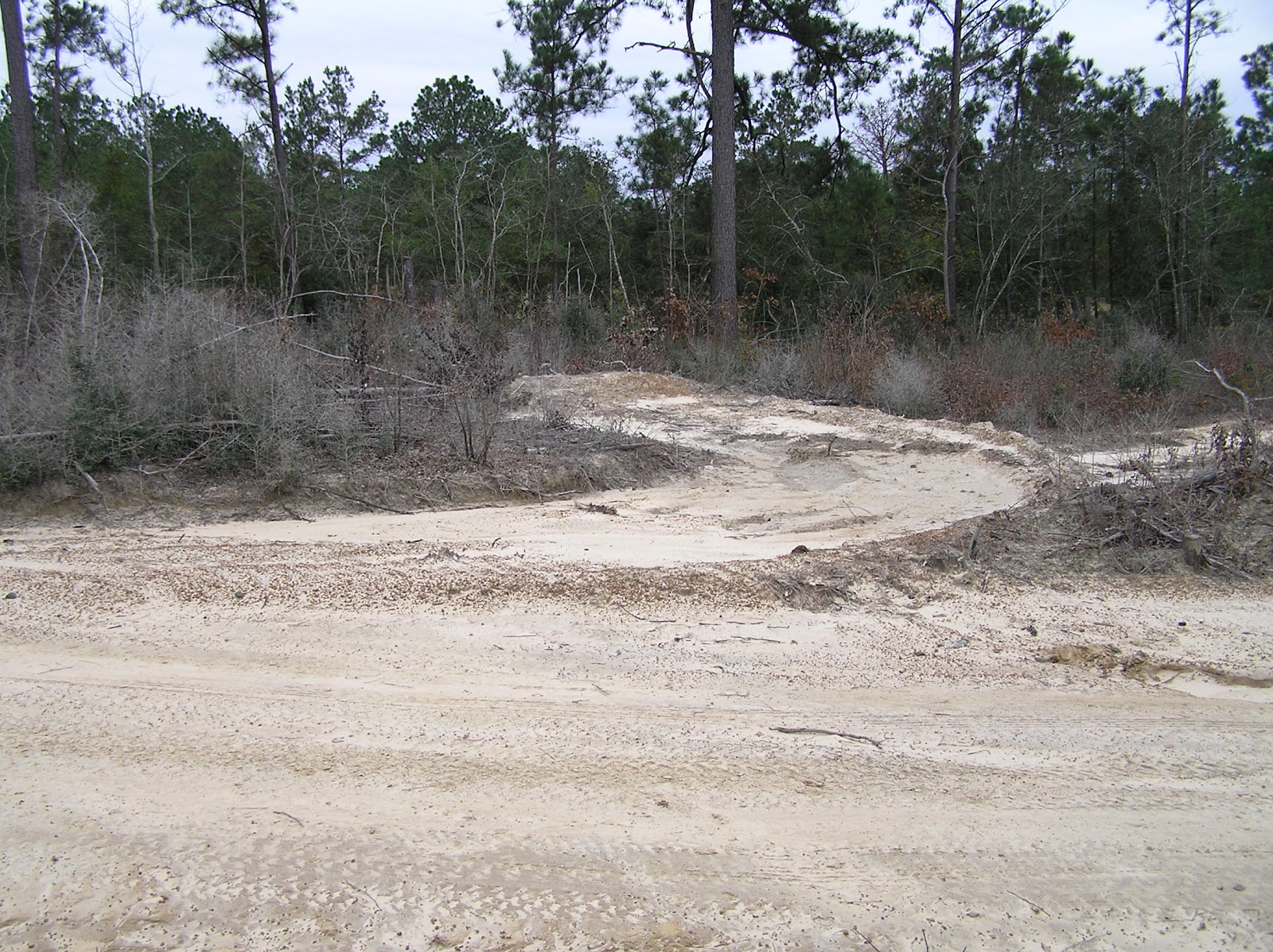 Texas A&M Forest Service: Water Resources: August BMP Q&A