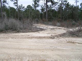 Texas A&M Forest Service: Water Resources: August BMP Q&A