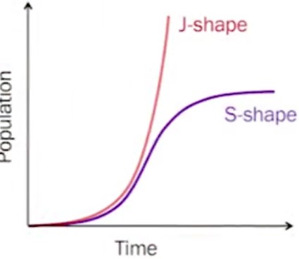 Andy Lieman : What is J-Shape and S-Shape?