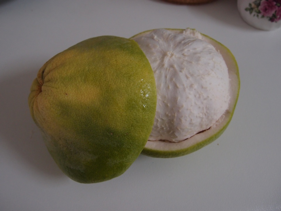 Xing Fu: POMELO SKIN FOR RITUAL CLEANSING