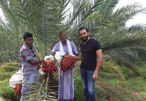 Arjunpuri in Qatar: Date farming changed this Vidarbha farmer’s life