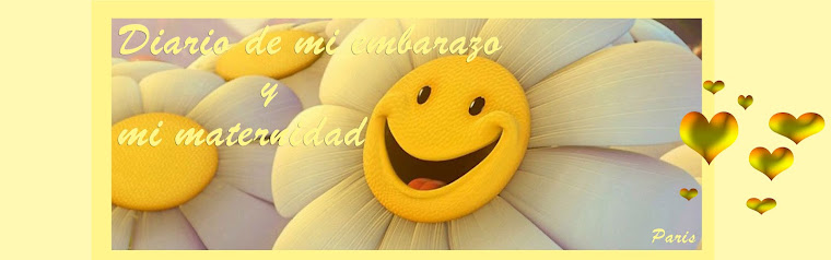 Diario de embarazo para imprimir - Imagui