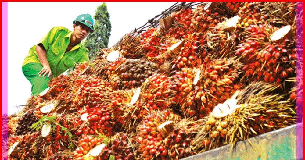Nilai Kegiatan Ekonomi Kelapa Sawit Di Malaysia | Kelapasawitnews.com ...