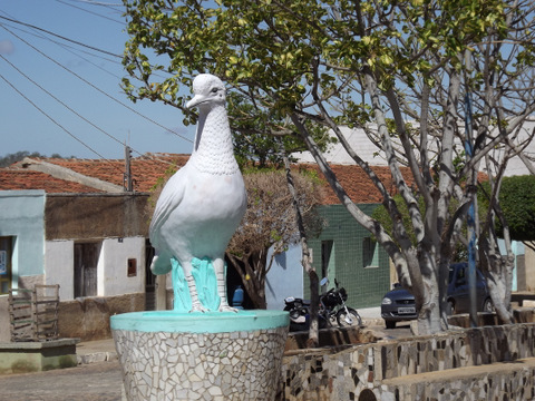 VIAGEM, TURISMO E AVENTURAS POR LUGARES INCRÍVEIS : ZABELÊ / PARAÍBA ...