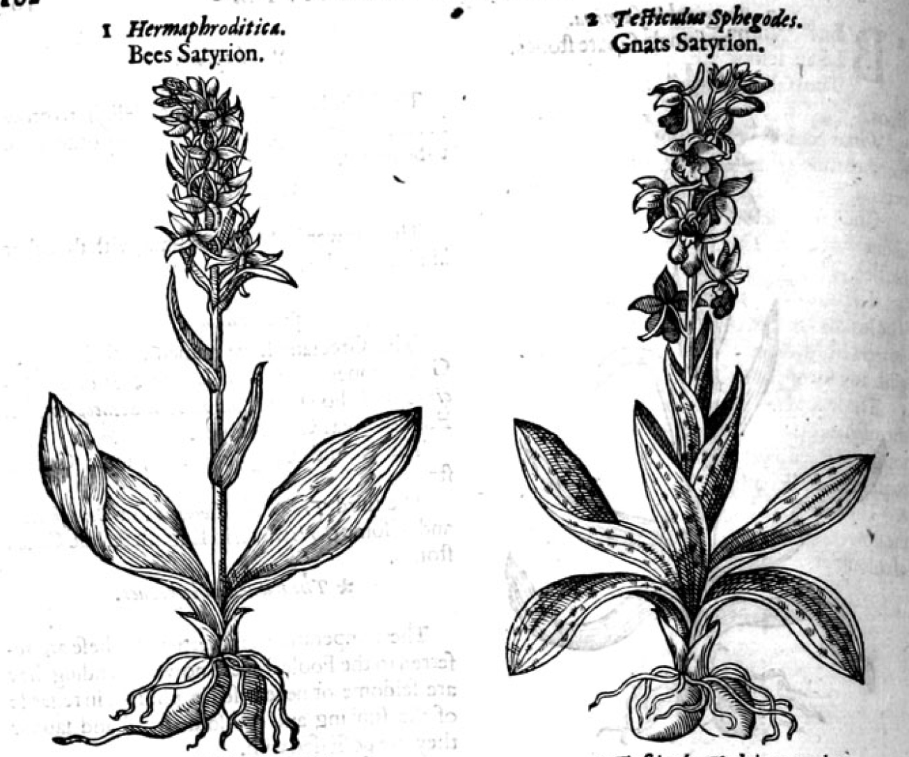 Food History Jottings: June 2012