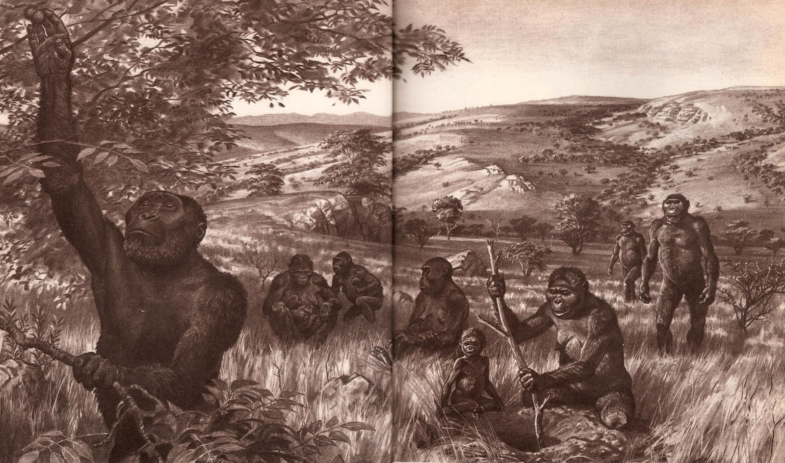 AGATHAUMAS: M'ammalia: gli scenari cenozoici di Jay Matternes