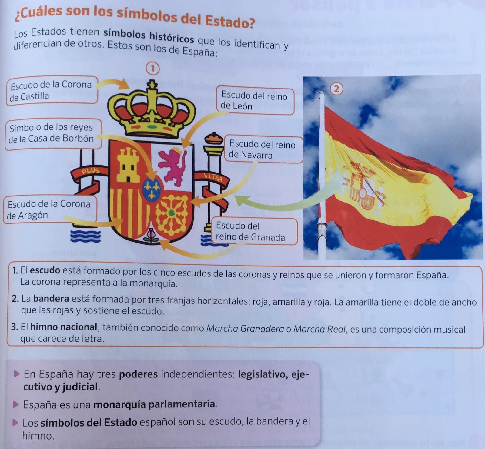 Social Science 5º: SOMOS CIUDADANOS