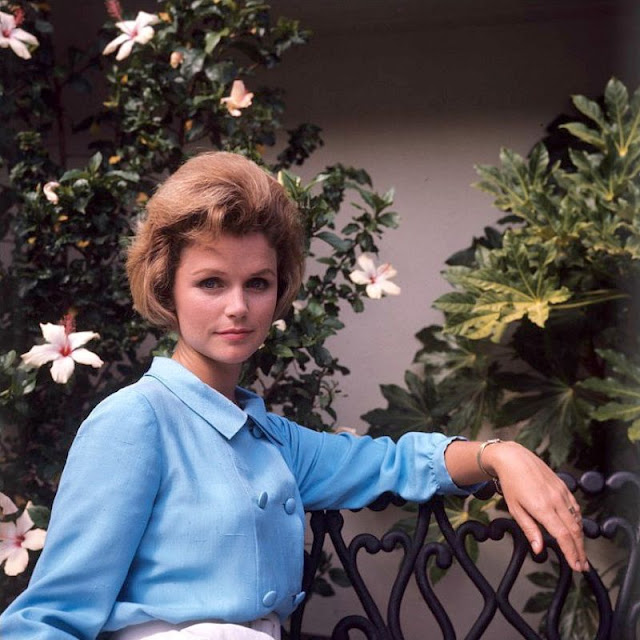 50 Glamorous Photos of Lee Remick From the 1950s and 1960s ~ Vintage ...