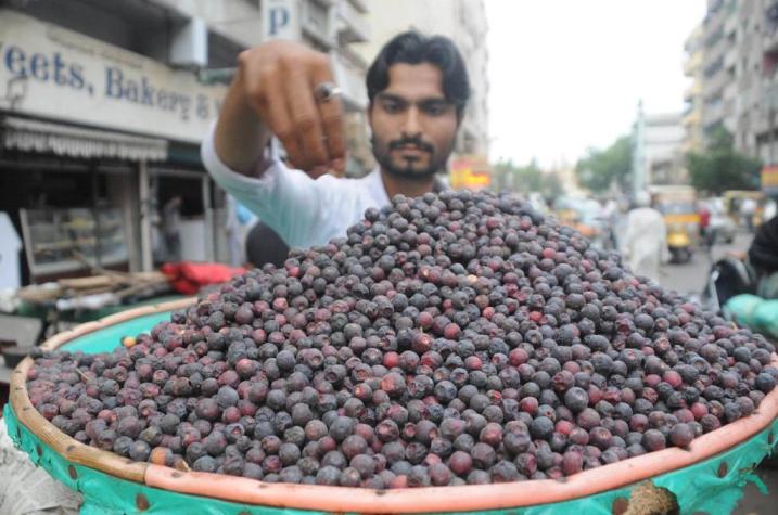 The Earth of India: All About Phalsa (Grewia asiatica)