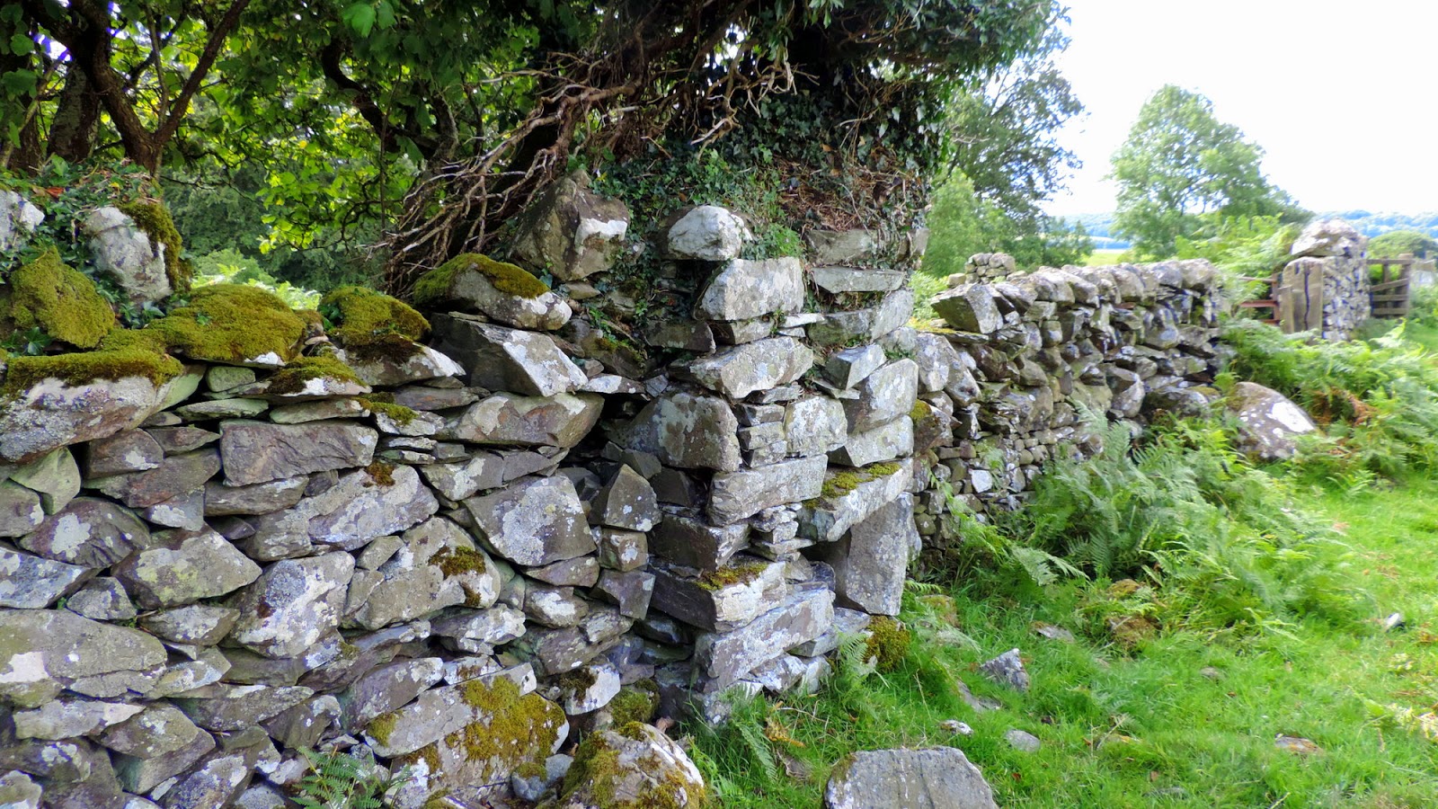 The Glebe Blog: 07/2014