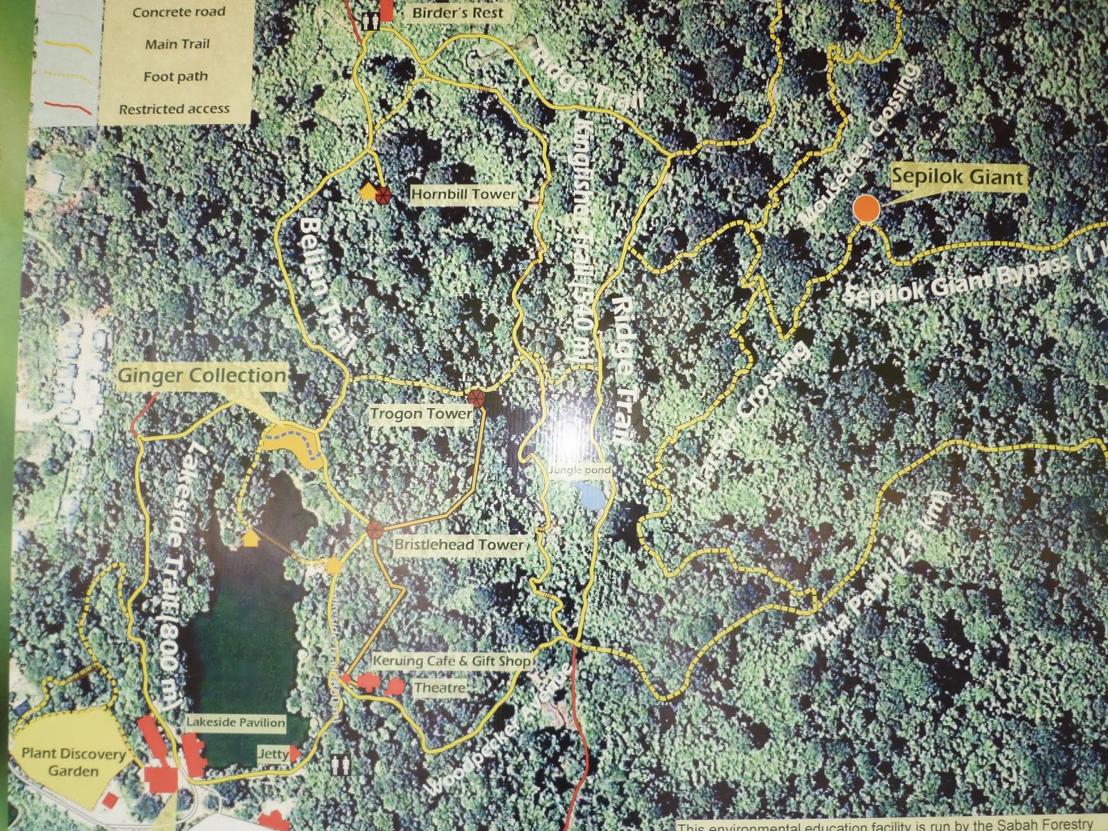 OrangUtan thinking out loud!: Sepilok RainForest Discovery Centre (RDC)