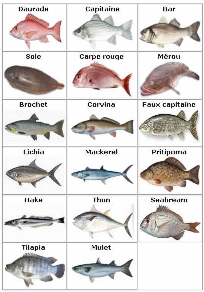 ISM Français 1: Fr 1.3 pp 67-72 Grammaire