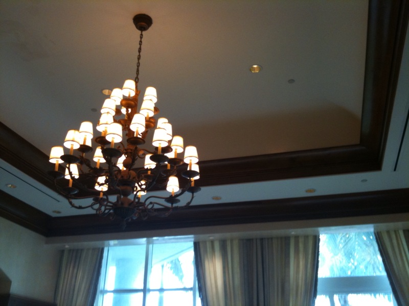 Robin Lechner Interior Designs: CEILING FEATURES & DESIGN