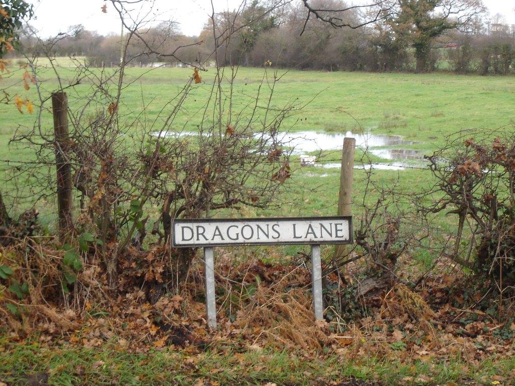 Pilgrims and Posies: The Dragon of Moston