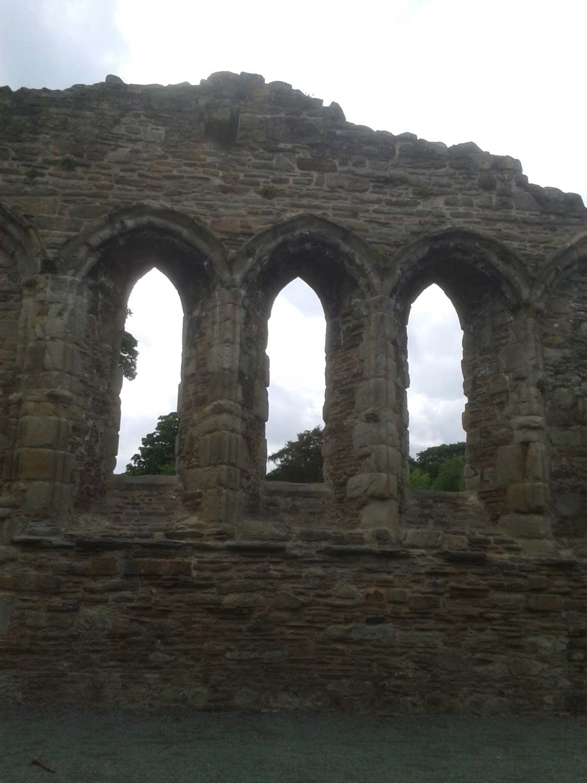 The Castle Hunter: Basingwerk Abbey *Free Site*