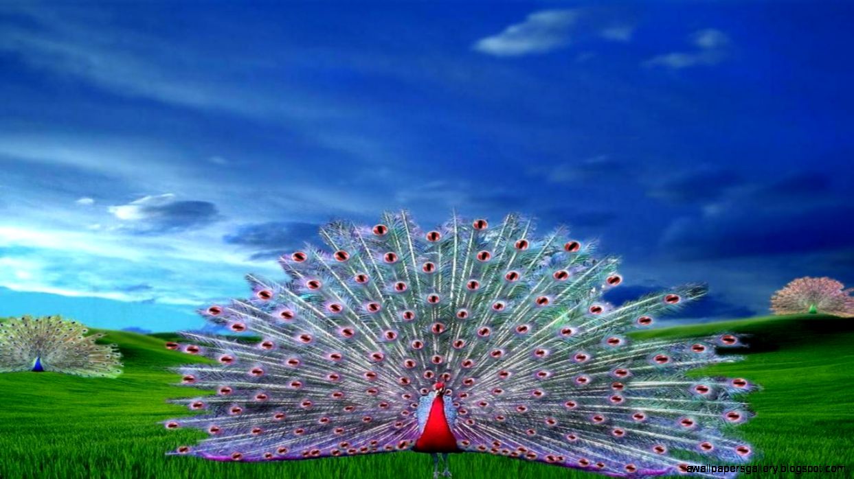 Full Hd Images Free Download | Wallpapers Gallery