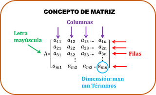 Algebra lineal - matrices y determinantes